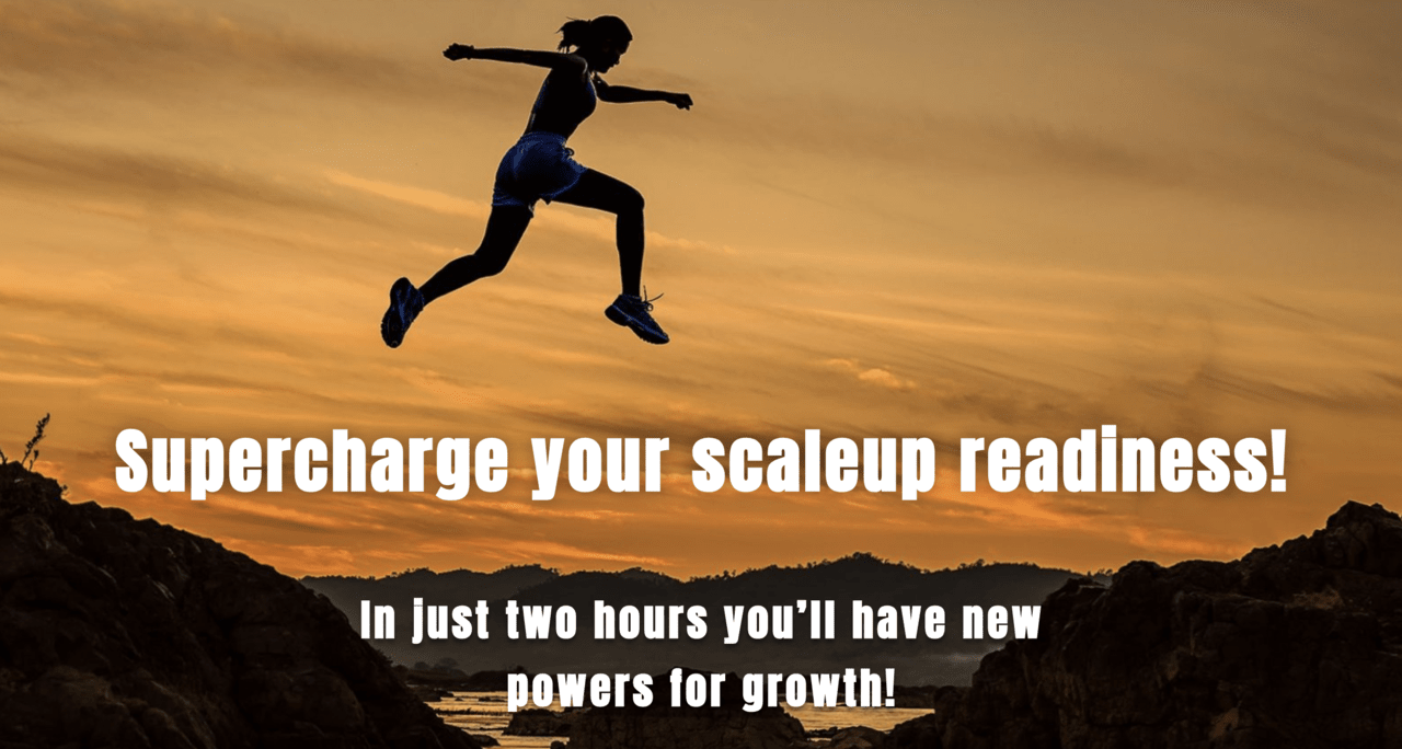 Scale-up Your Startup Towards Growth with HippoMeter - RAISE fosters ...